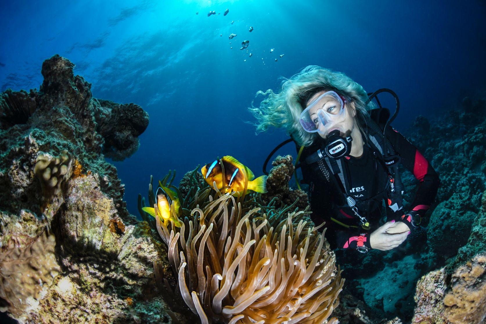 Ssi Diving Courses In Mauritius Blue Bay Diving Centre
